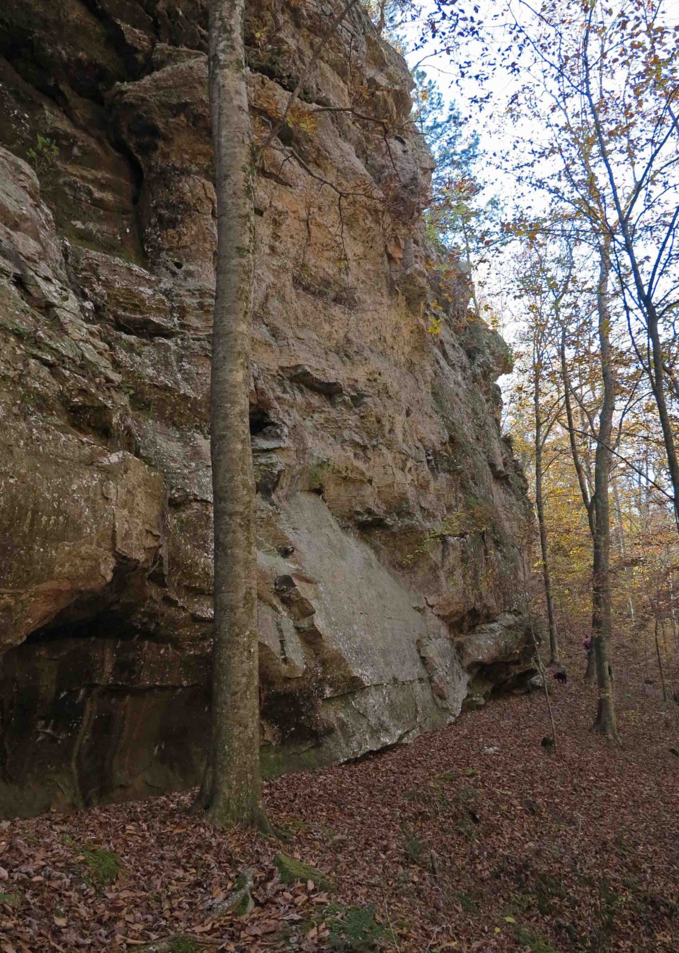 Fall in the Marinoni | Ozarkmountainhiker