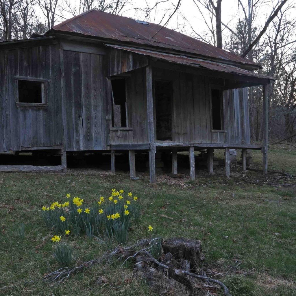 Fresh in the ghost town of Rush, Arkansas | Ozarkmountainhiker