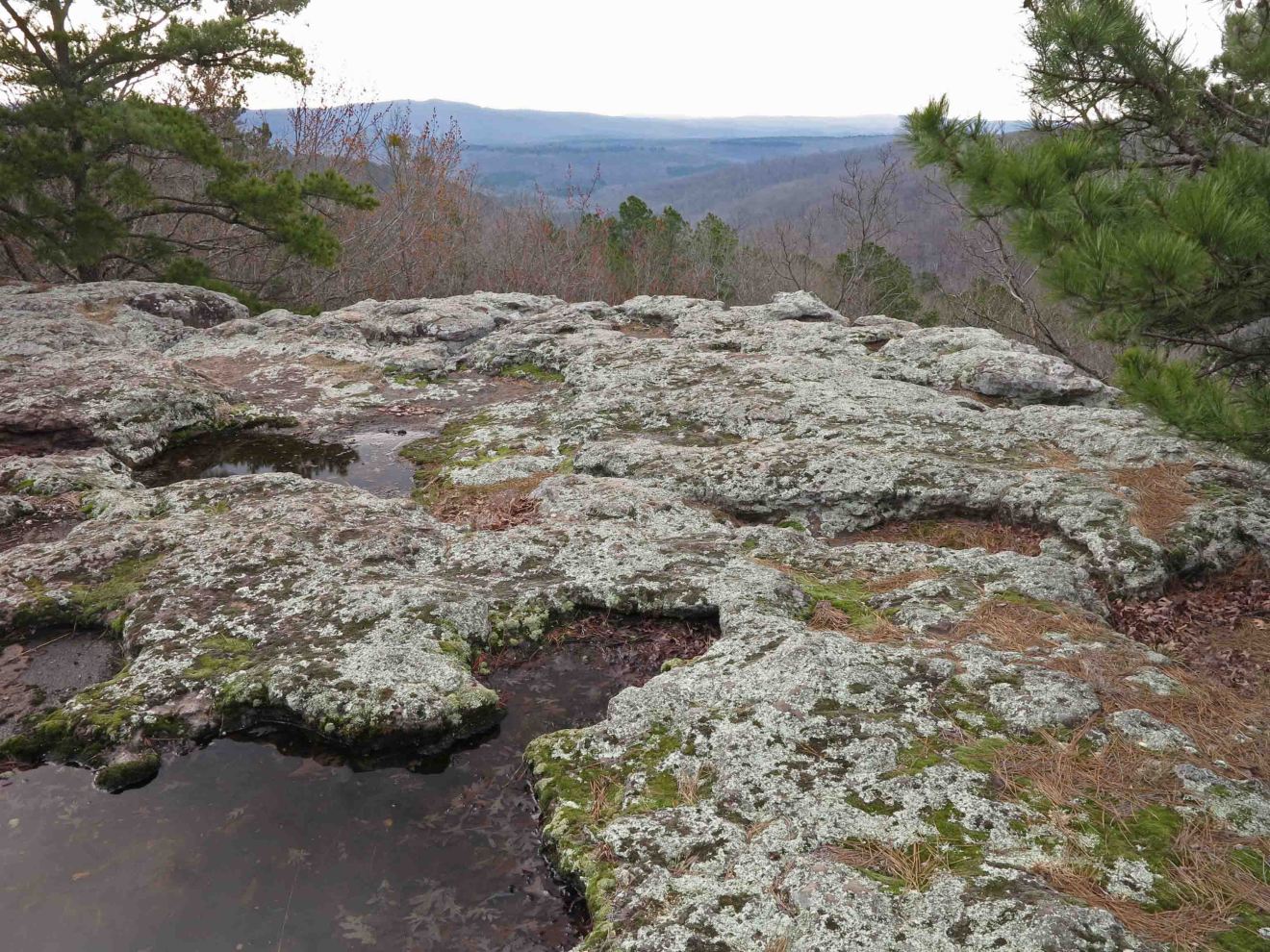 March | 2015 | Ozarkmountainhiker