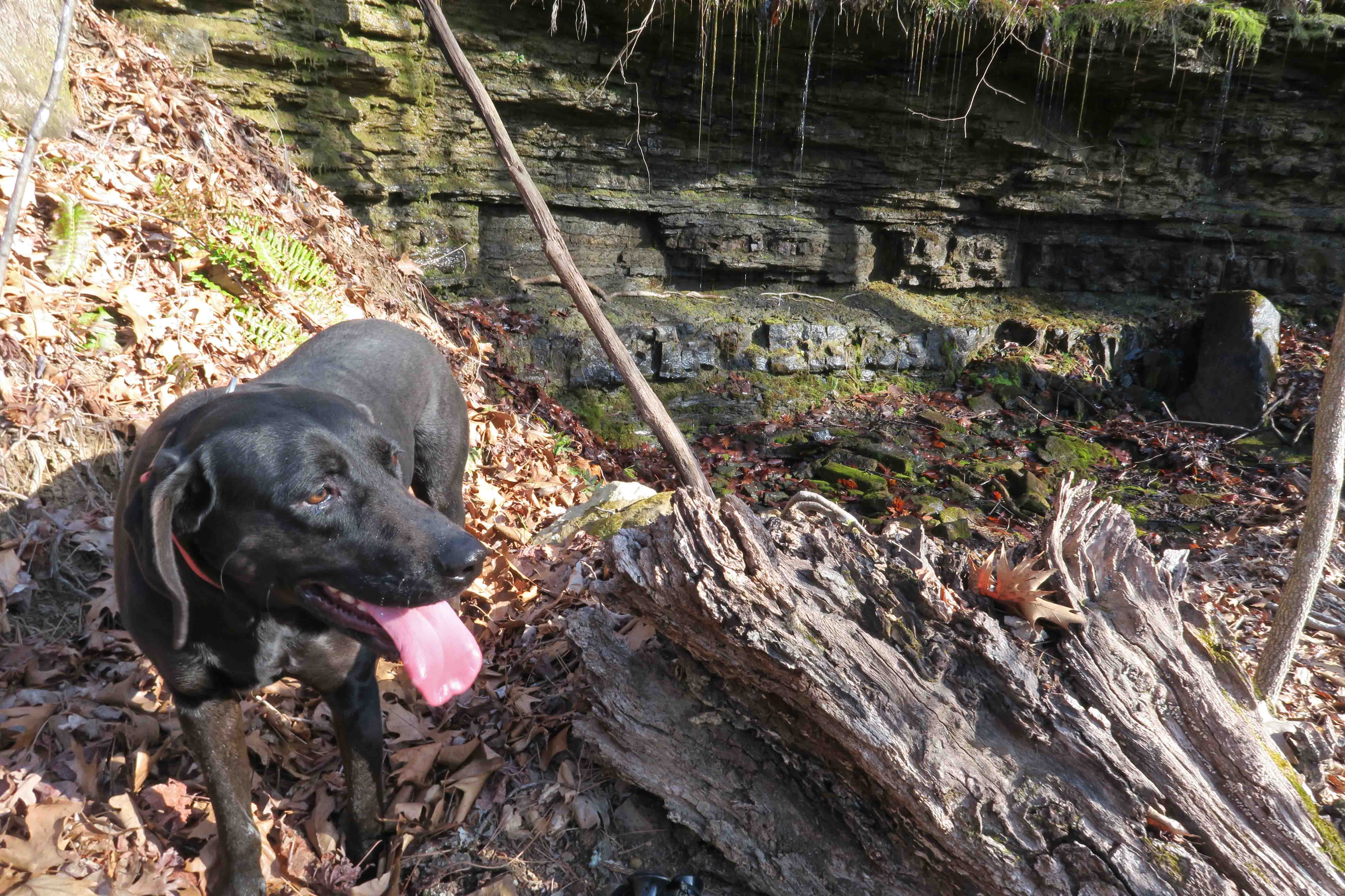 Back to Morgan Mountain and Lessons in Slowing Down | Ozarkmountainhiker