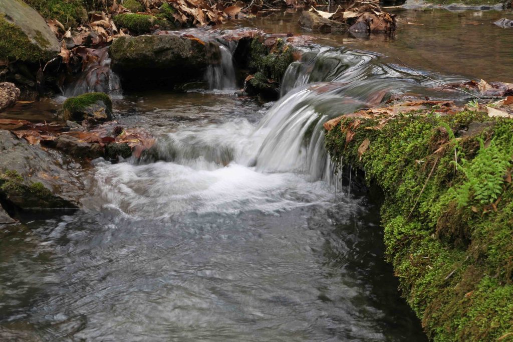 Diverse group on a 20-mile stretch of the OHT | Ozarkmountainhiker